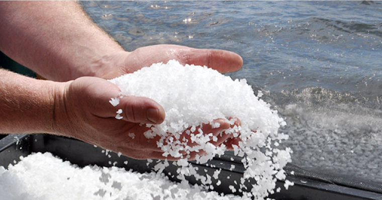 Unveiling the Essence of the Pacific: Crafted Canadian Sea Salt from S ...